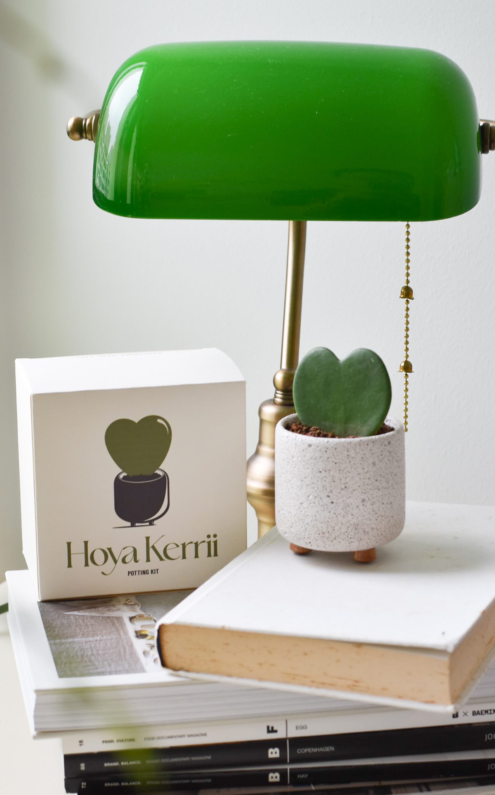 Hoya Kerrii Potting Kit – The Plant Loft