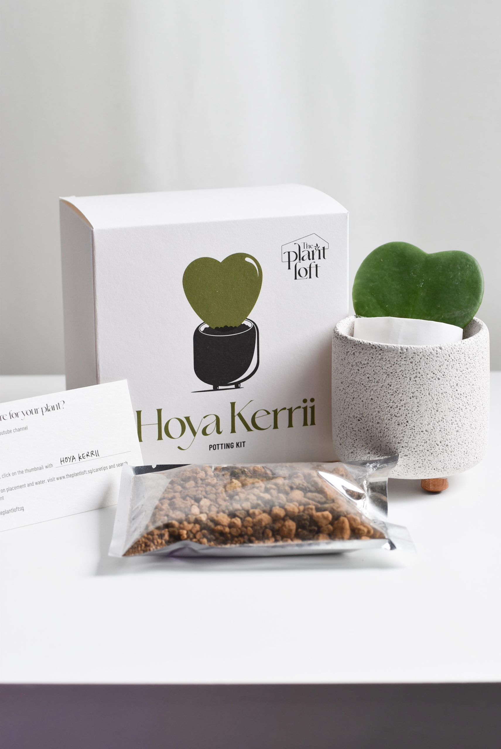 Hoya Kerrii Potting Kit – The Plant Loft