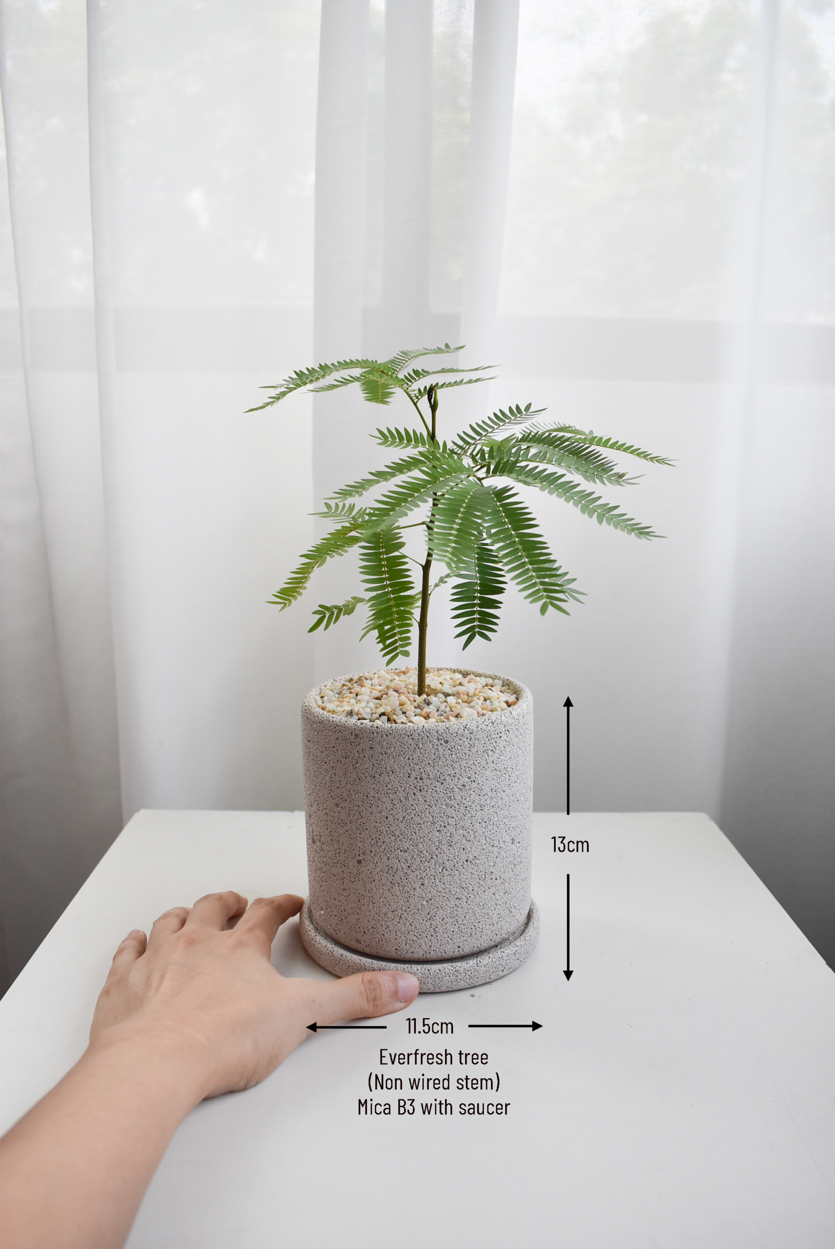 Everfresh trees size 2/3/4/5/6 in Mica (NON-WIRED STEM) – The Plant Loft