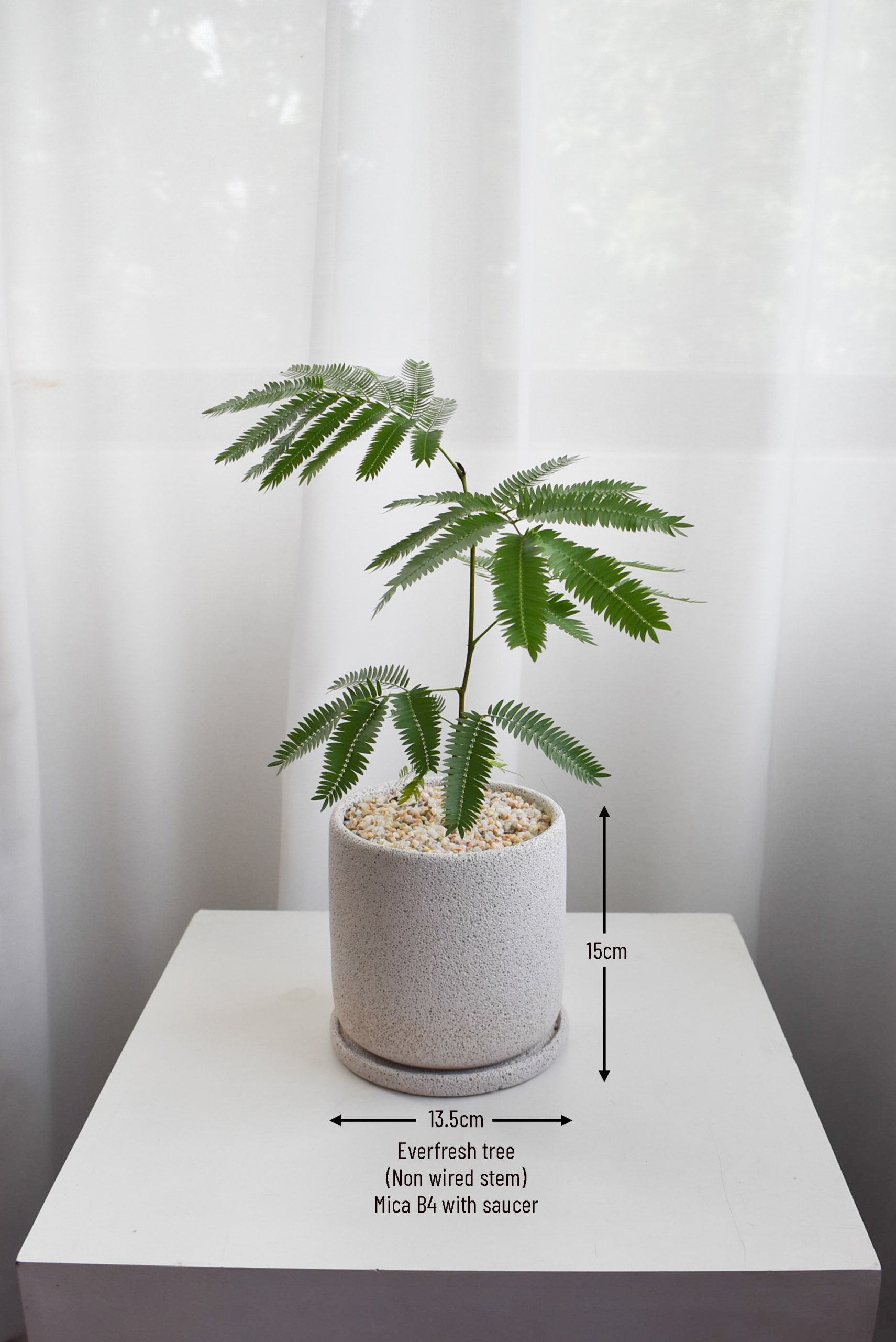 Everfresh trees size 2/3/4/5/6 in Mica (NON-WIRED STEM) – The Plant Loft